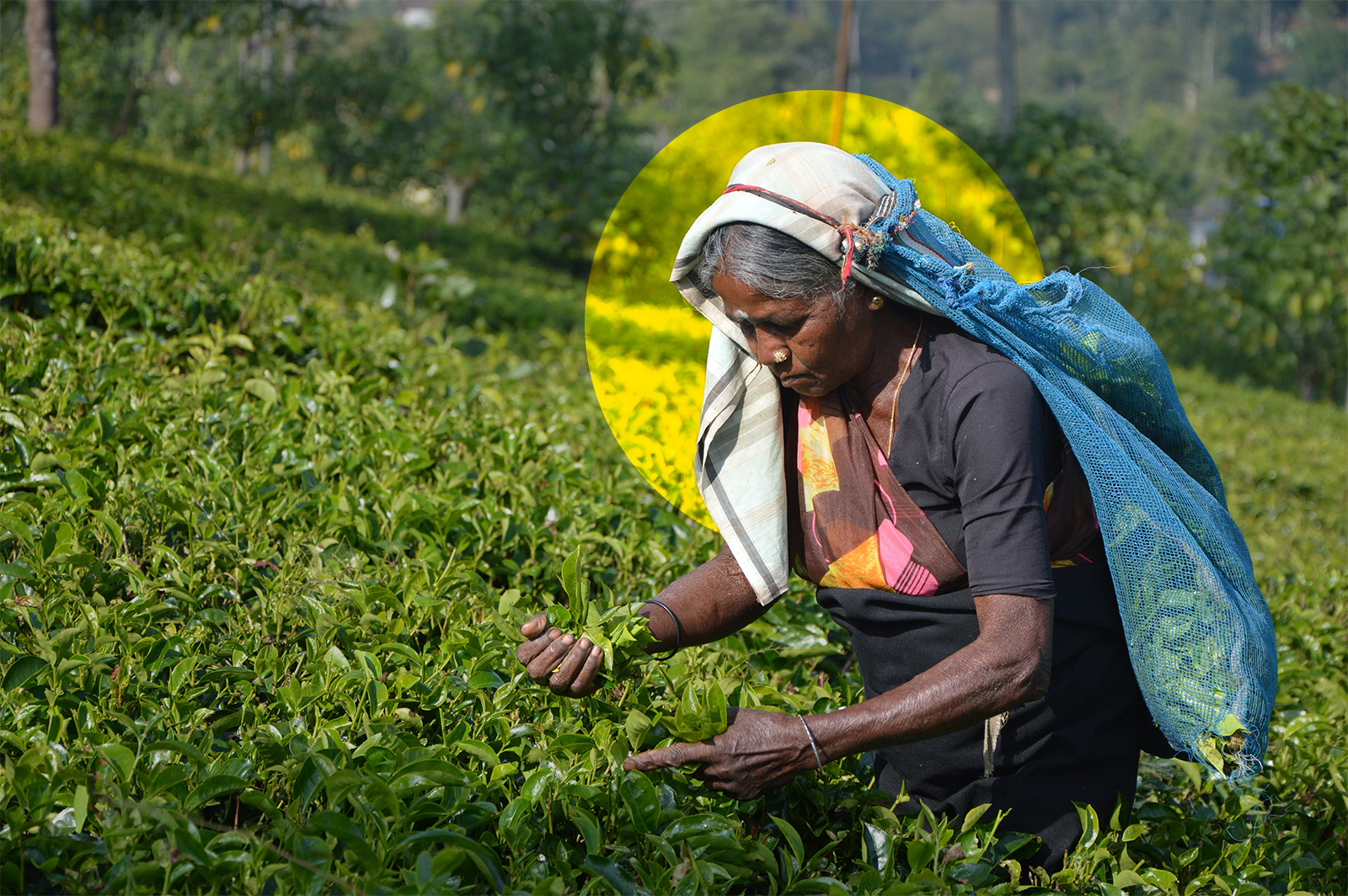 Harris Freeman Foundation - A simple vision of making a difference