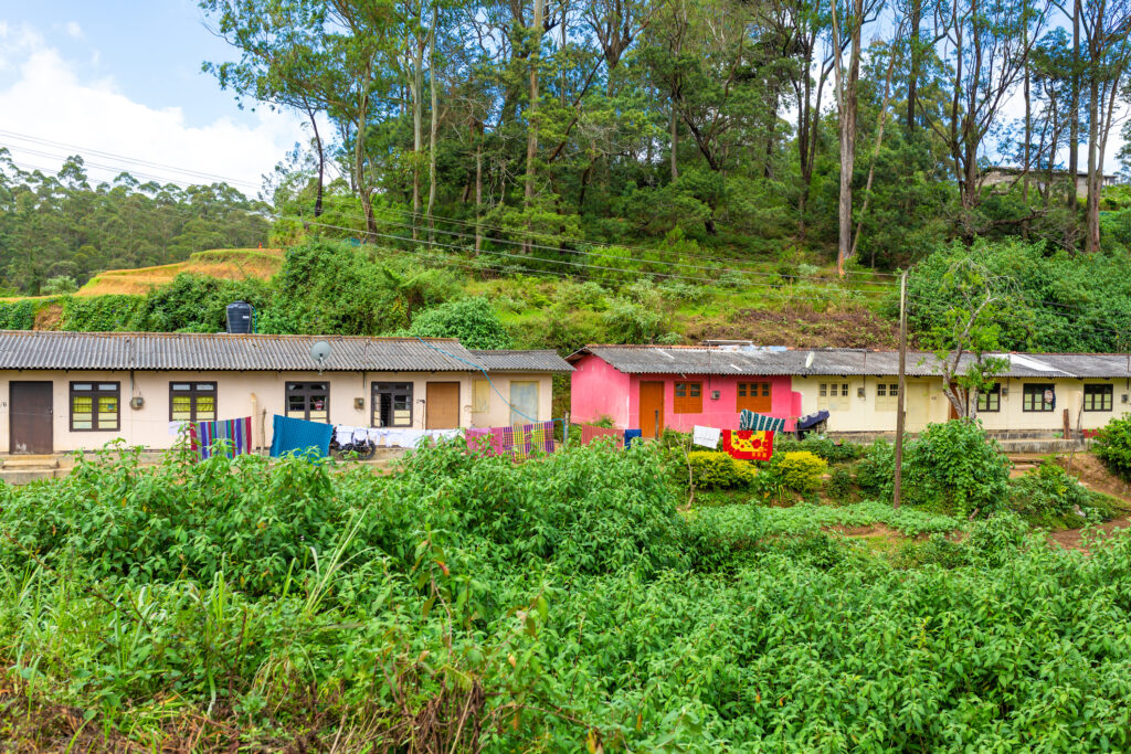 Helping the Community in Sri Lanka - Harris Freeman Foundation